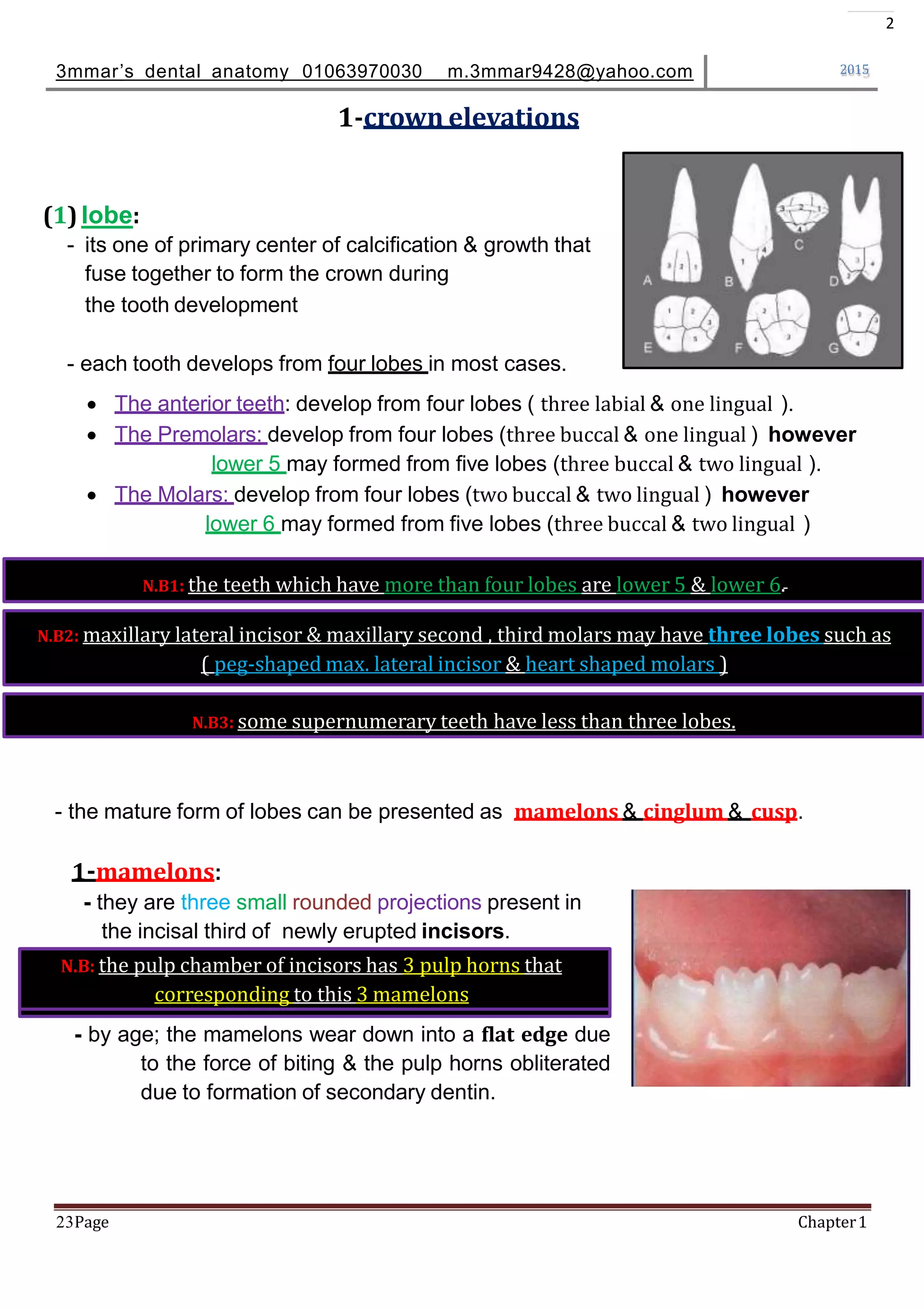 introduction to dental anatomy | PPTX
