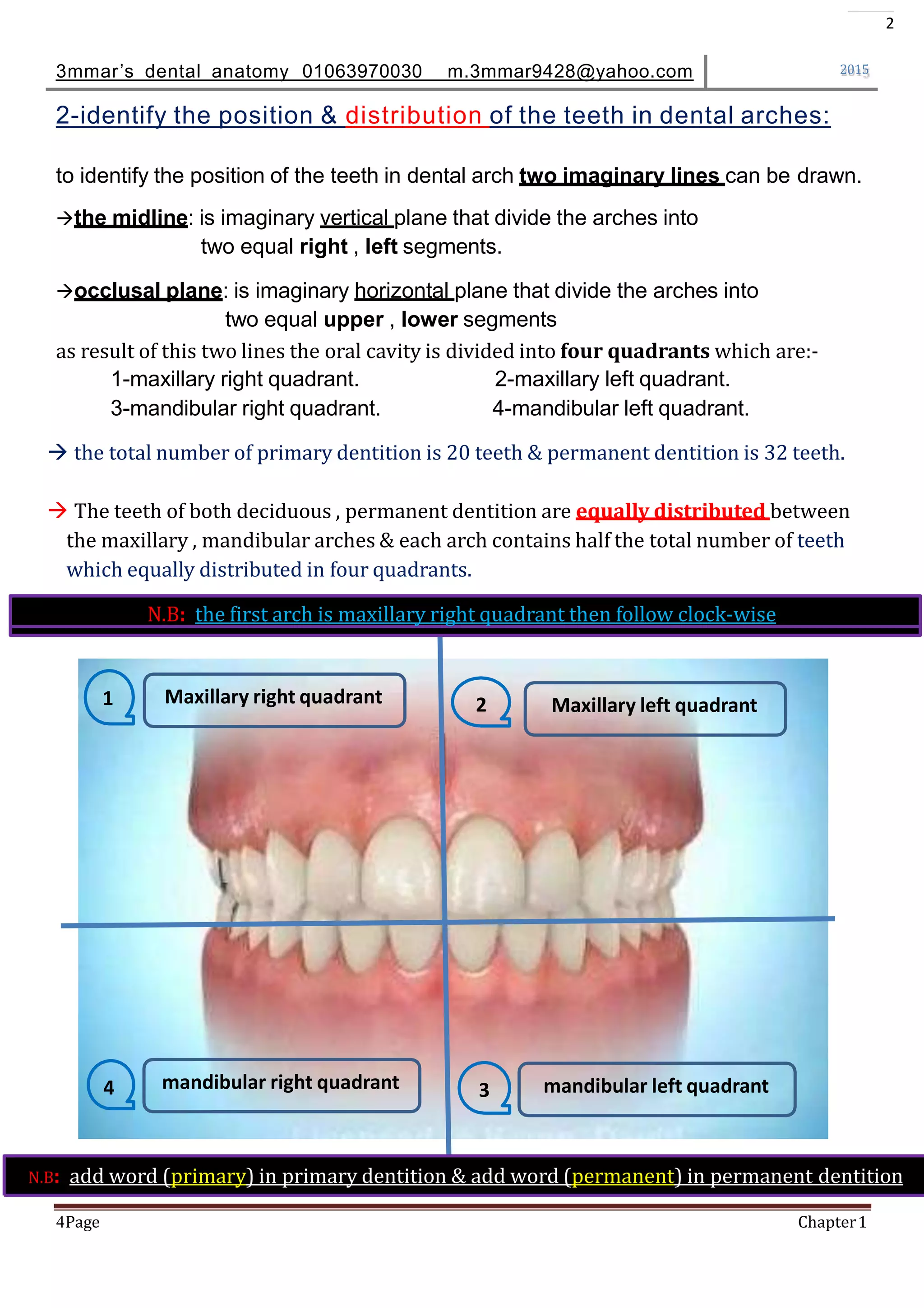 introduction to dental anatomy | PPTX