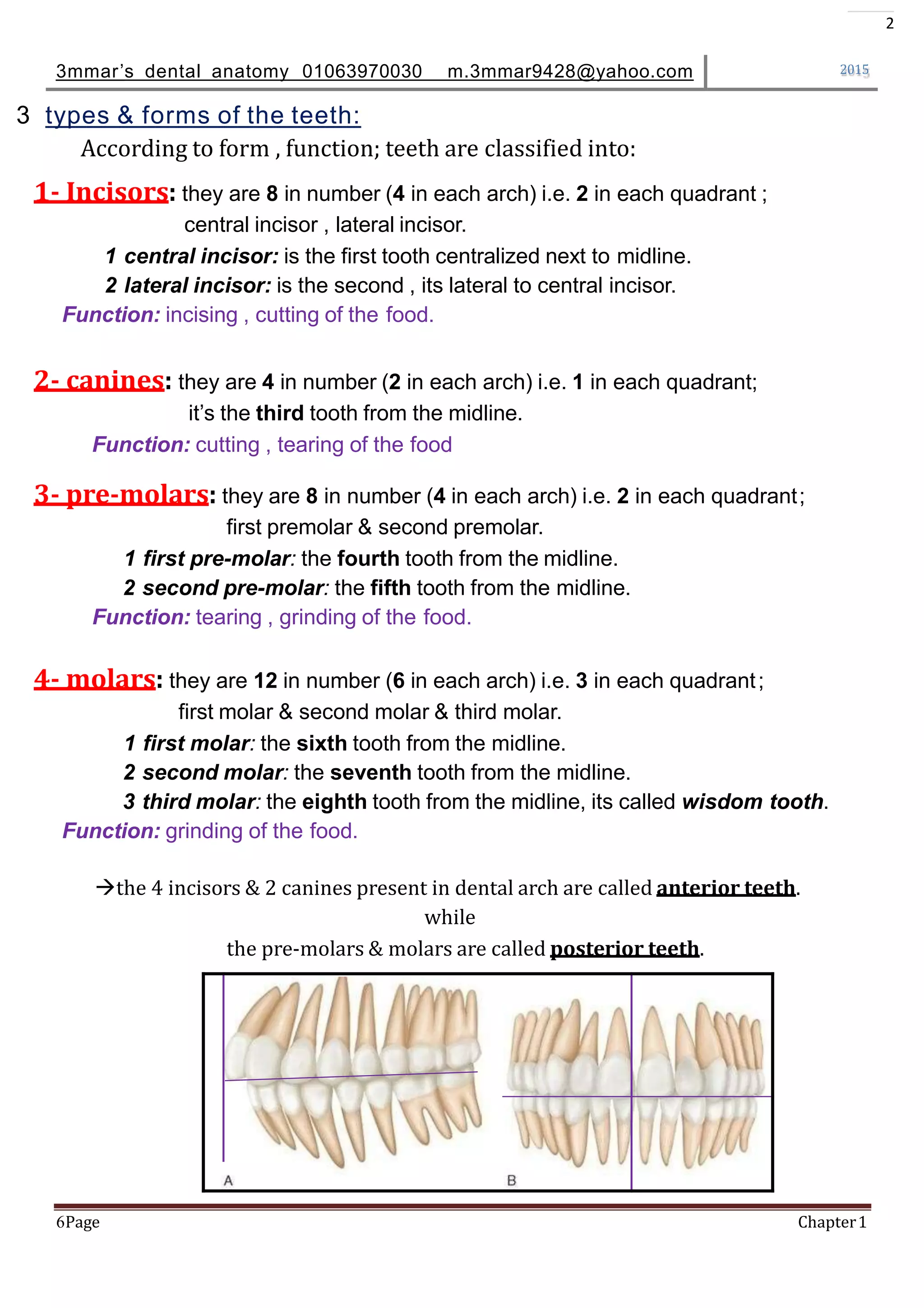 introduction to dental anatomy | PPTX