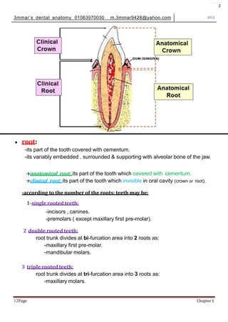 introduction to dental anatomy | PPTX