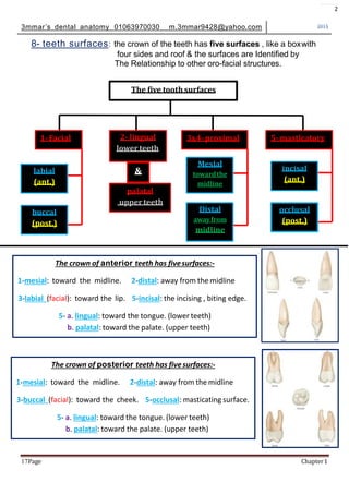 introduction to dental anatomy | PPTX