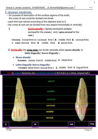 introduction to dental anatomy | PPTX