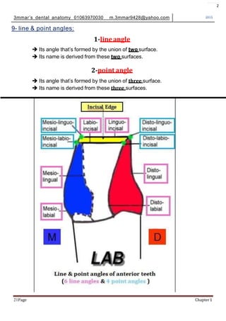 introduction to dental anatomy | PPTX
