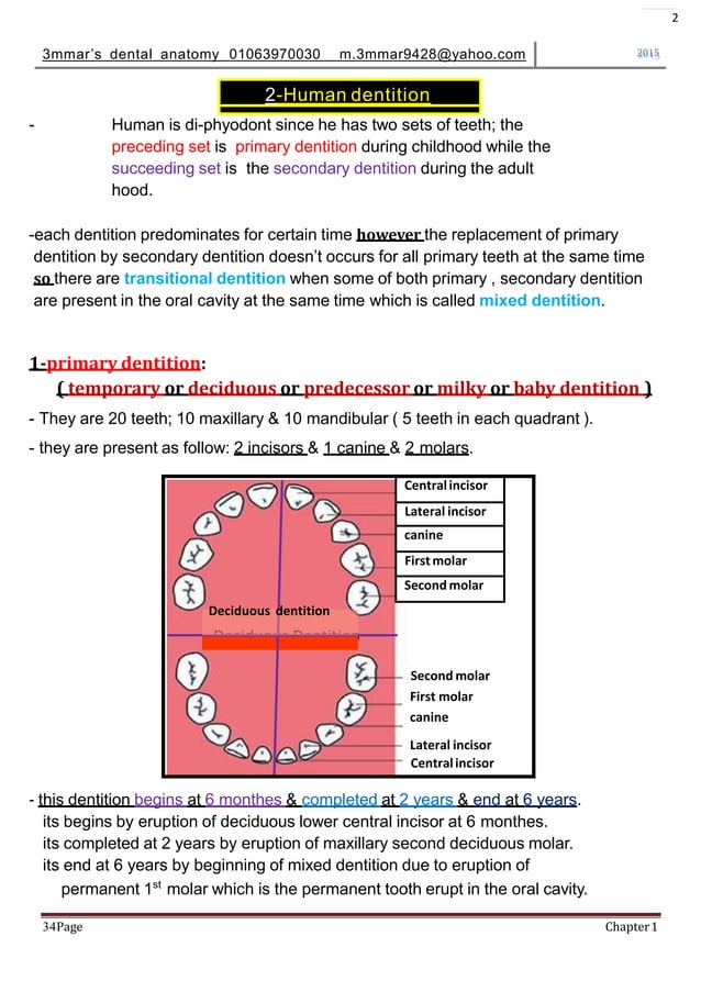 introduction to dental anatomy | PPTX