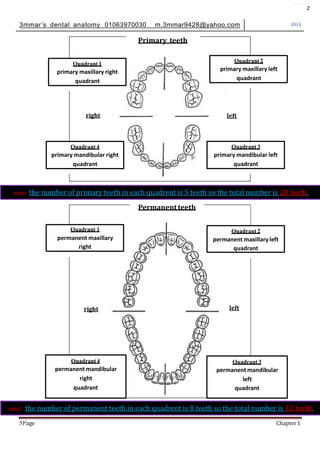 introduction to dental anatomy | PPTX