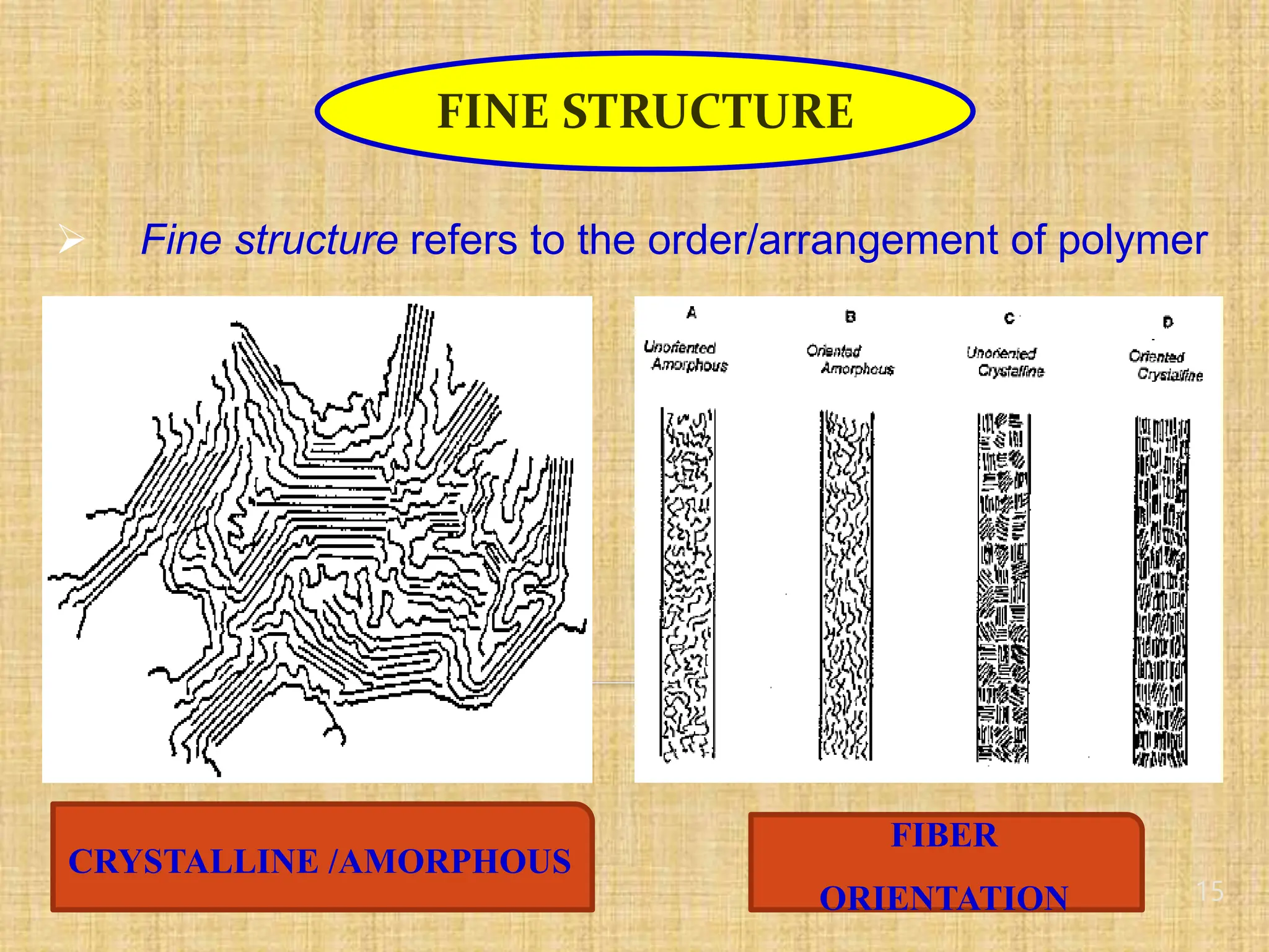Introduction to fiber and fiber morphology. | PPTX