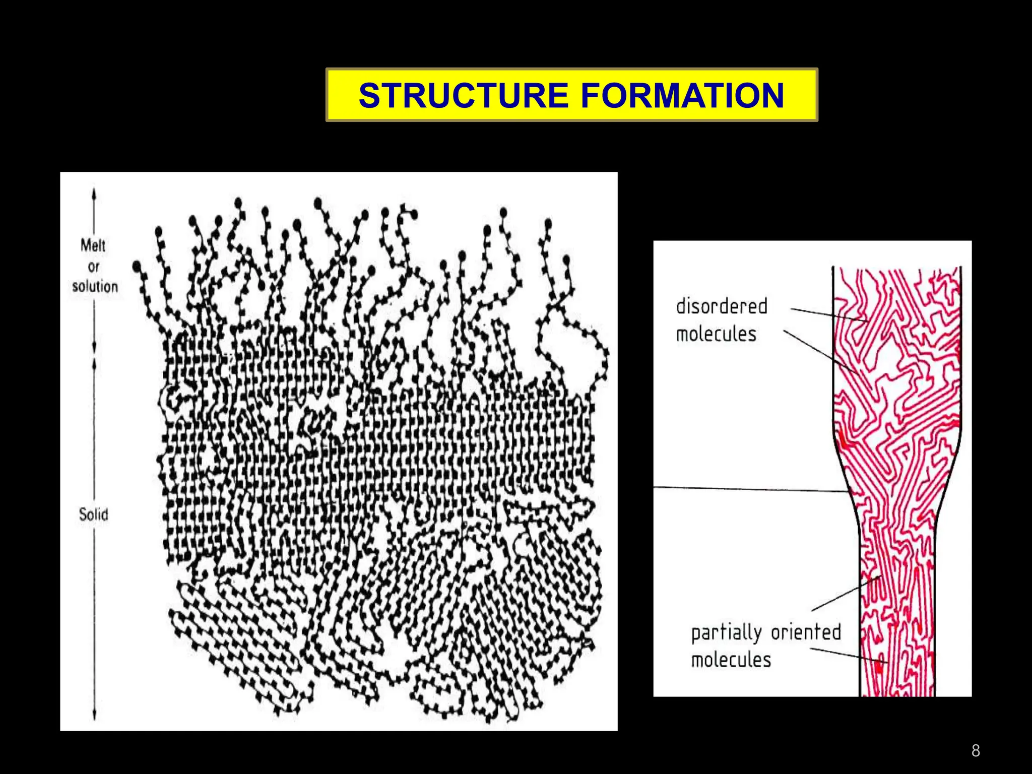 Introduction to fiber and fiber morphology. | PPTX