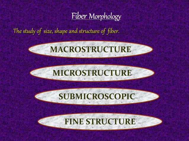 Introduction to fiber and fiber morphology. | PPTX