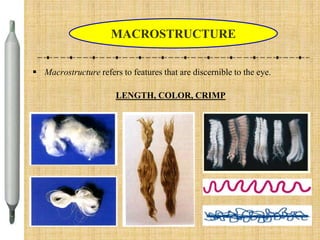 Introduction to fiber and fiber morphology. | PPTX