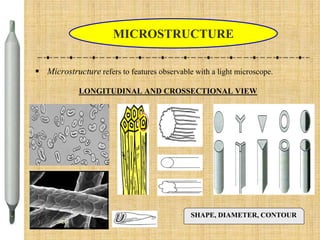 Introduction to fiber and fiber morphology. | PPTX