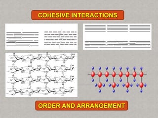 Introduction to fiber and fiber morphology. | PPTX