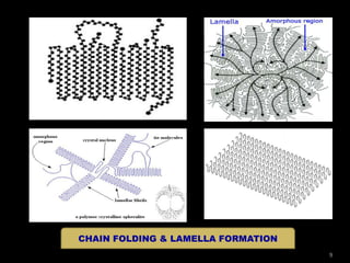 Introduction to fiber and fiber morphology. | PPTX
