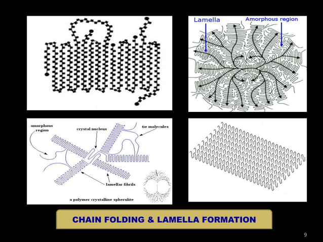 Introduction to fiber and fiber morphology. | PPTX