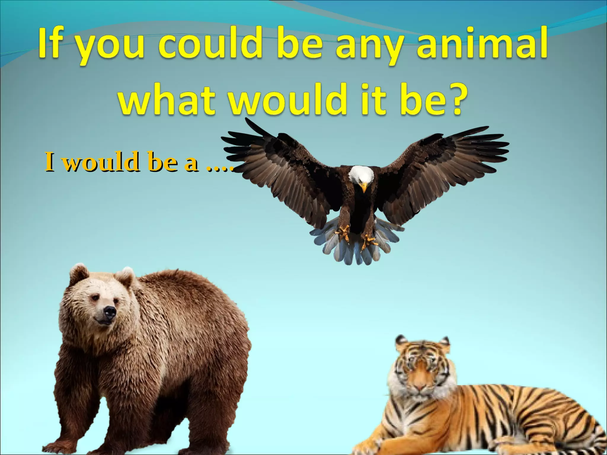 Beginner English. Greetings and introduction questions. | PPT