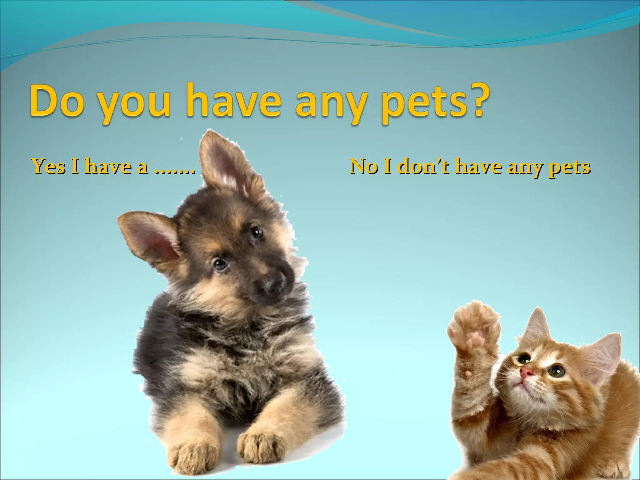 Beginner English. Greetings and introduction questions. | PPT