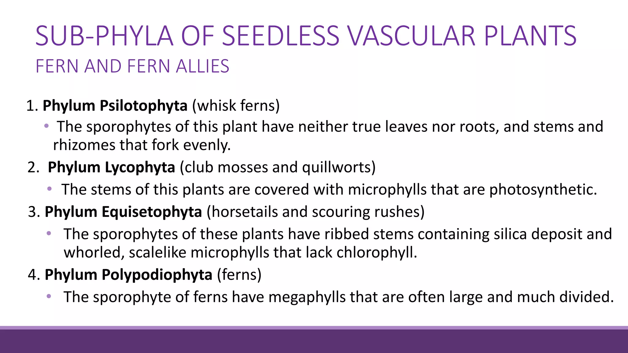 Vascular Plants: Pteridophyta (part 1) | PPTX