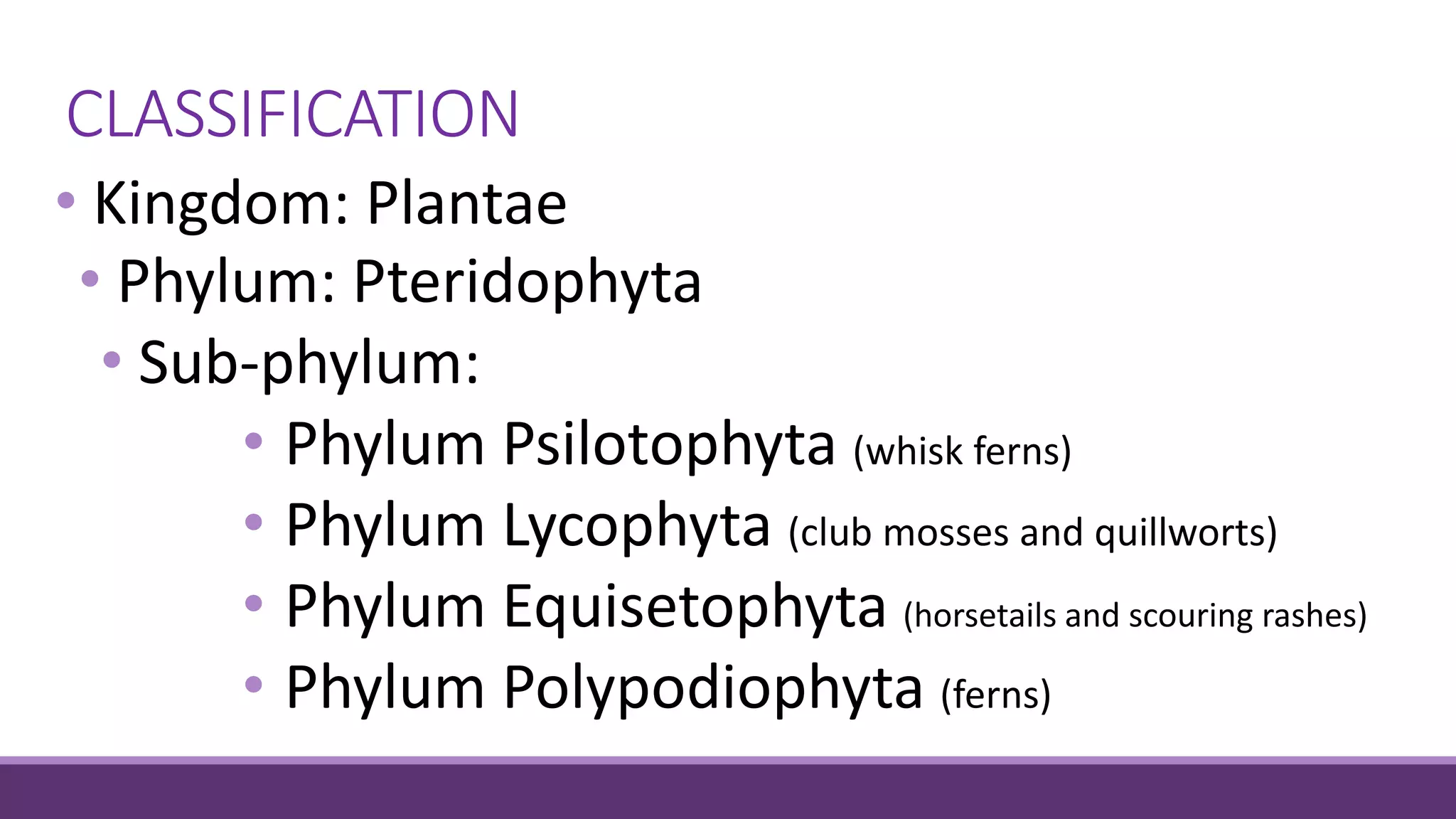Vascular Plants: Pteridophyta (part 1) | PPTX