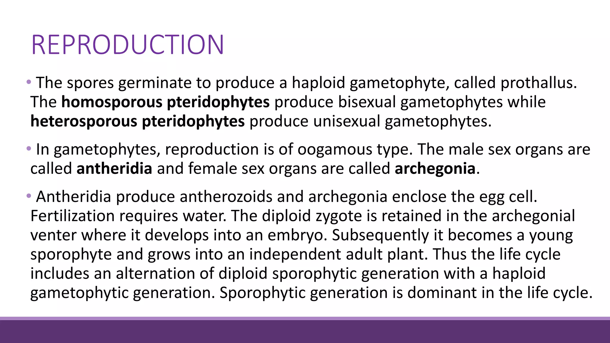 Vascular Plants: Pteridophyta (part 1) | PPTX