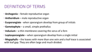 Vascular Plants: Pteridophyta (part 1) | PPTX