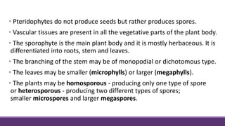 Vascular Plants: Pteridophyta (part 1) | PPTX