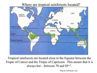 Introduction rainforests | PPT