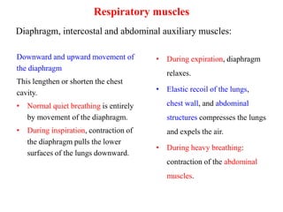 Introduction Respiratory.ppt