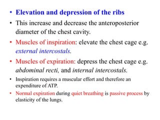 Introduction Respiratory.ppt