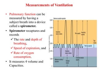 Introduction Respiratory.ppt