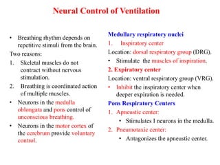 Introduction Respiratory.ppt