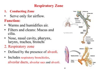 Introduction Respiratory.ppt