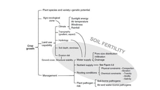 Introduction_soil_fertility_2022.pptx.pdf