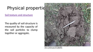Introduction_soil_fertility_2022.pptx.pdf