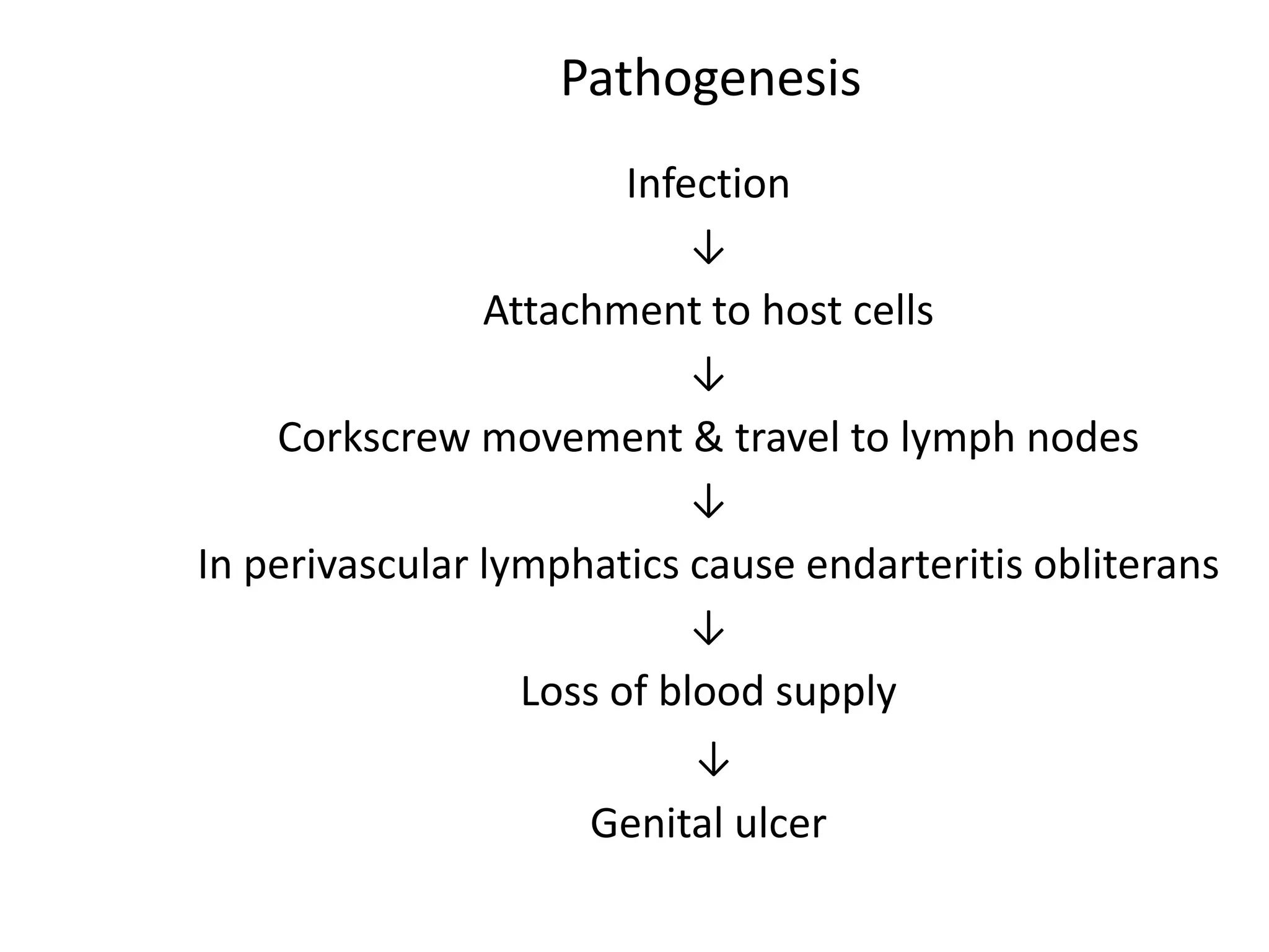 introduction_stis_syphilis.ppt