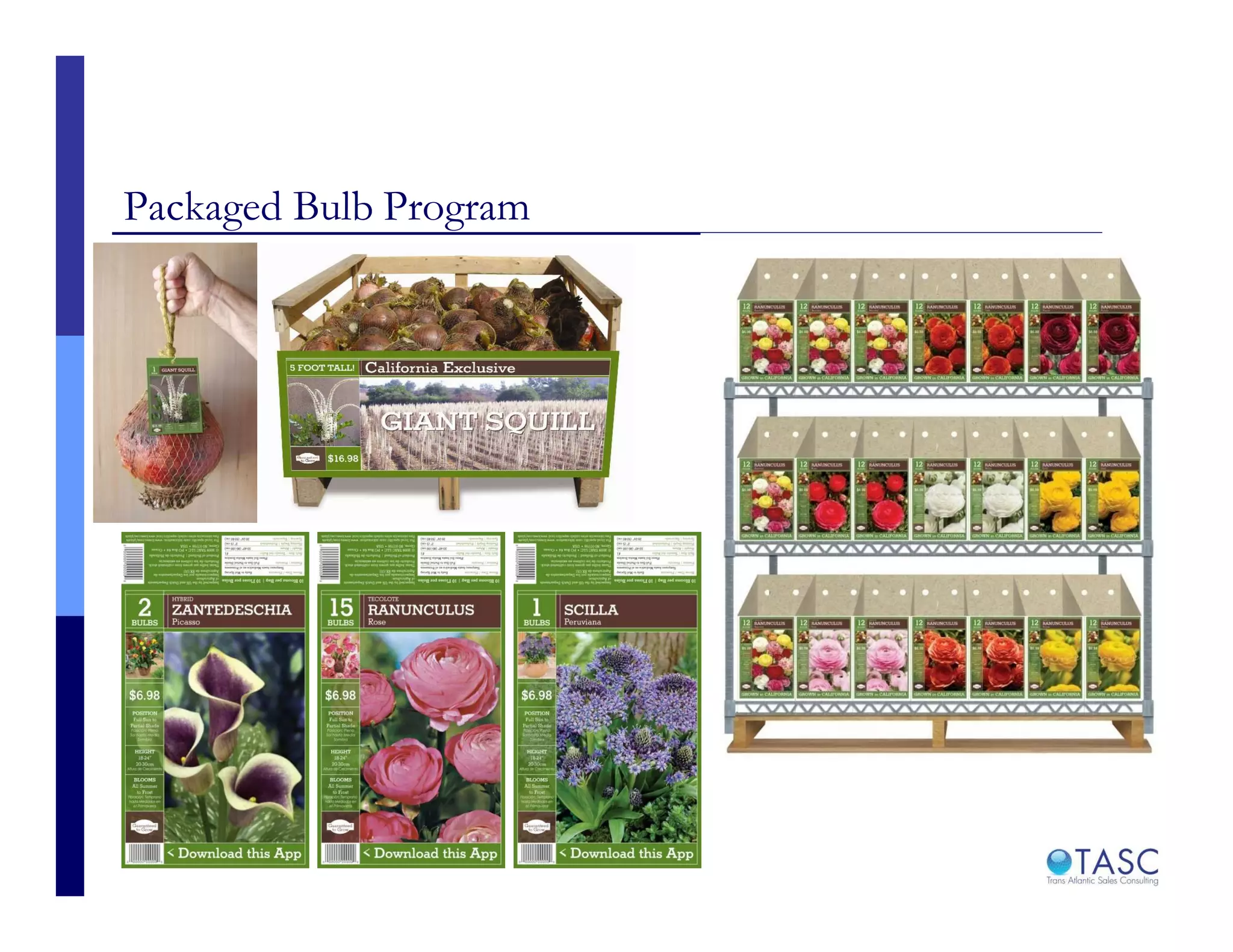 Introduction Tasc | PPT