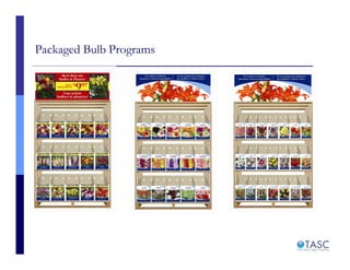 Introduction Tasc | PDF