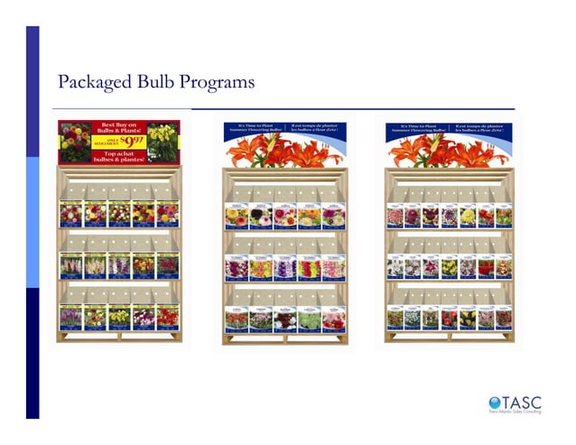 Introduction Tasc | PDF