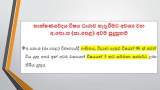 technology stream for advanced level, why we select | PPTX