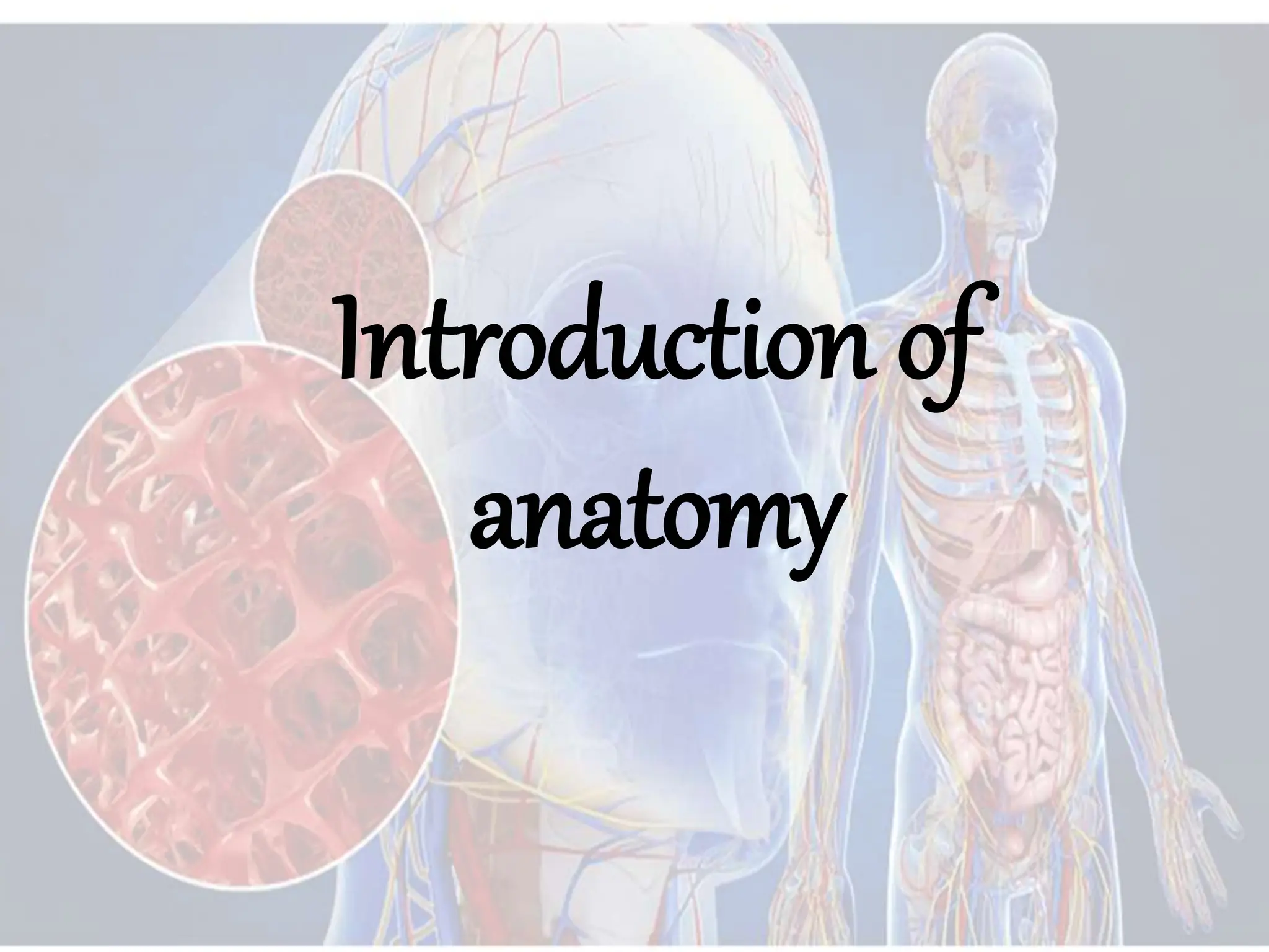 cells structure and function.pptx