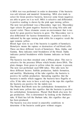 IntroductionThe isolation and cultivation of bacteria enable i | DOCX