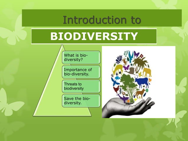 Introduction to Biodiversity | PPT