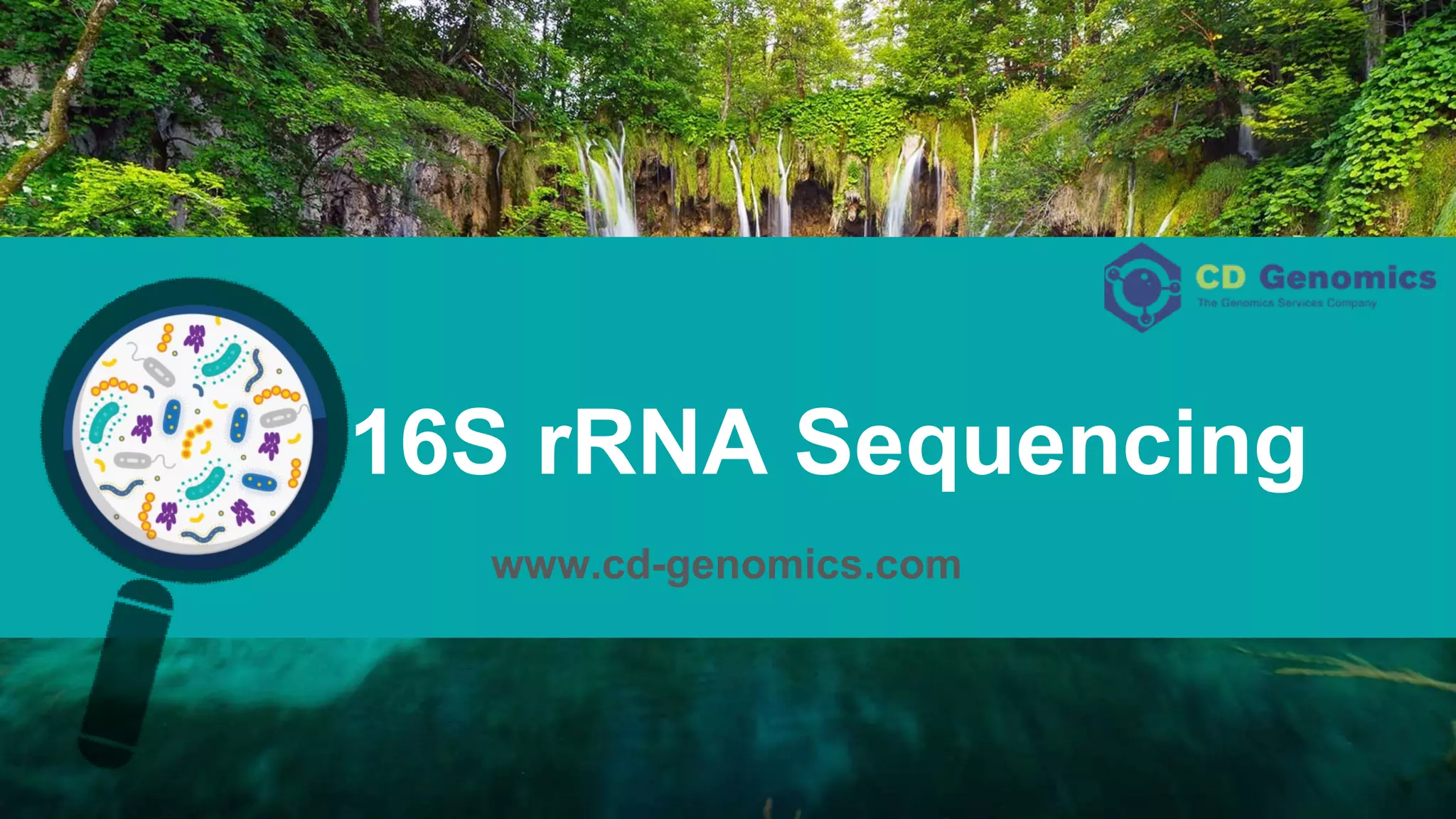 Introduction to 16s r rna sequencing cd genomics | PPT
