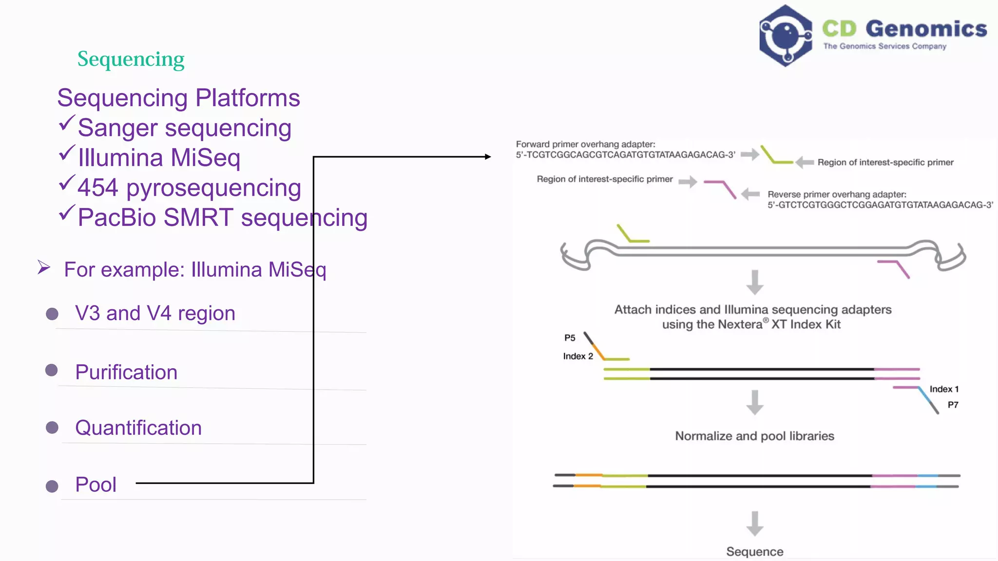 Introduction to 16s r rna sequencing cd genomics | PPT