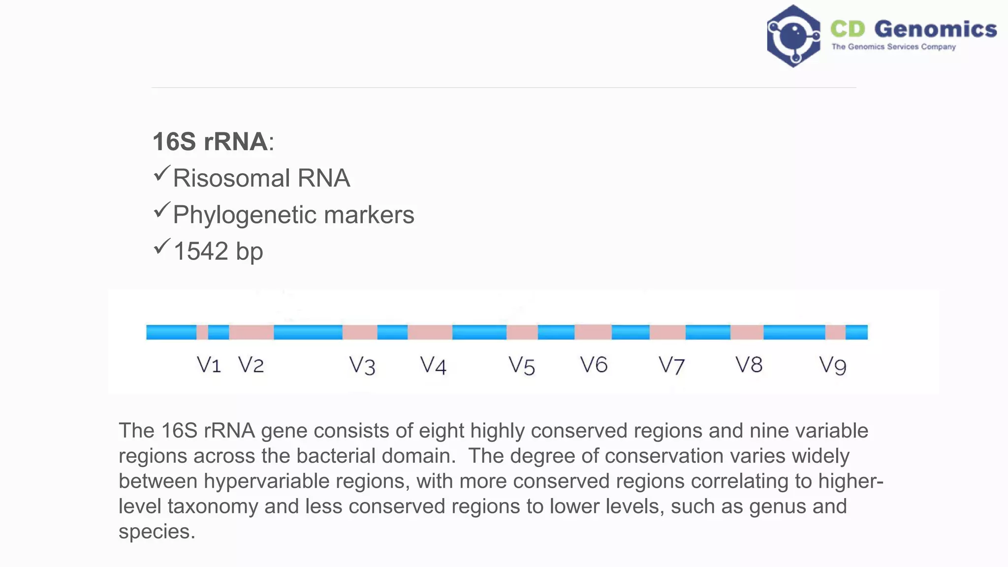 Introduction to 16s r rna sequencing cd genomics | PPT