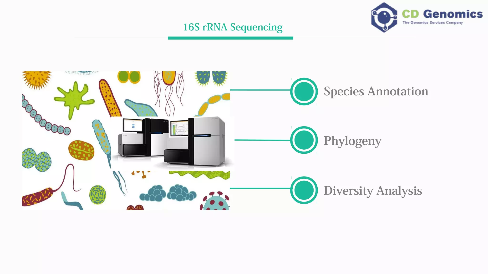 Introduction to 16s r rna sequencing cd genomics | PPT