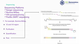 Introduction to 16s r rna sequencing cd genomics | PPT