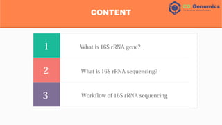Introduction to 16s r rna sequencing cd genomics | PPT
