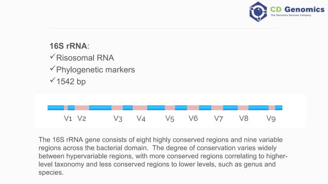 Introduction to 16s r rna sequencing cd genomics | PPT