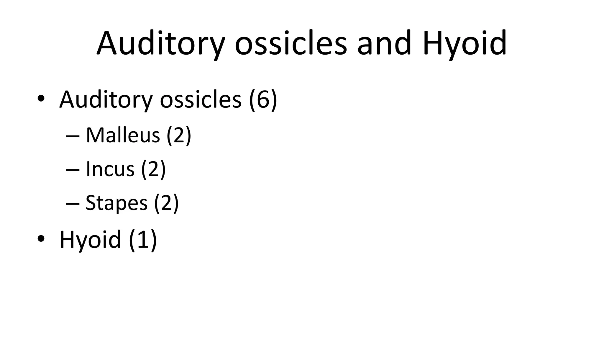 Introduction to 206 bones of the human body | PPTX