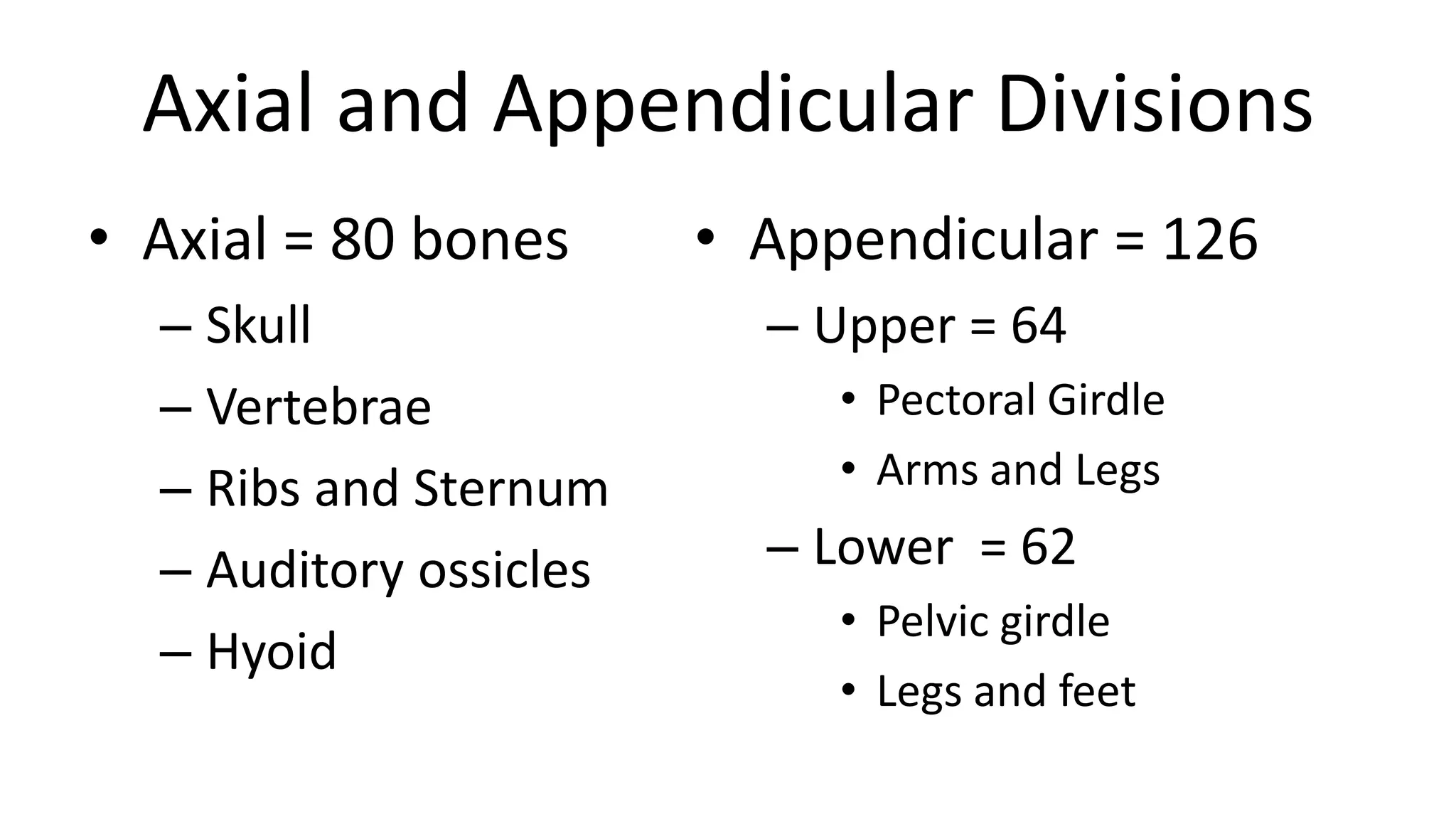 Introduction to 206 bones of the human body | PPTX