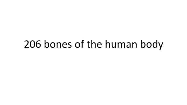 Introduction to 206 bones of the human body | PPTX